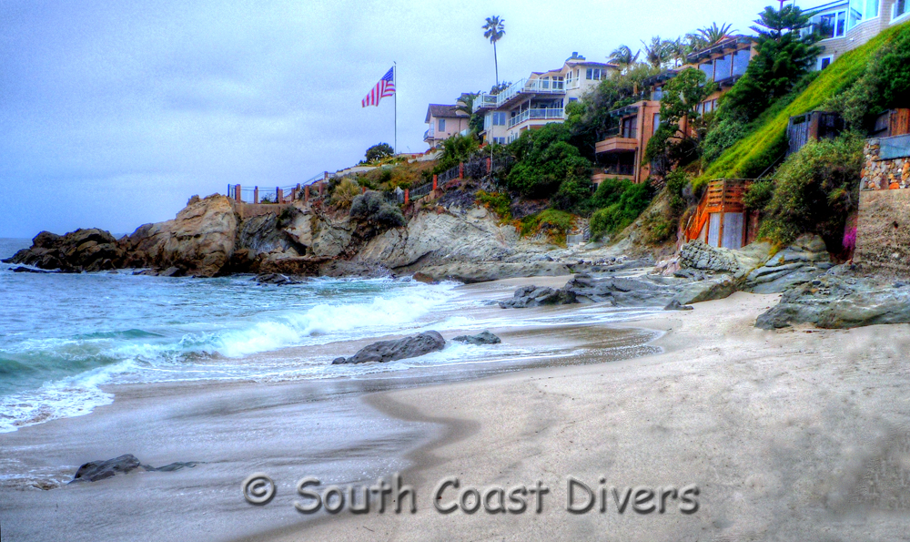 South Coast Divers